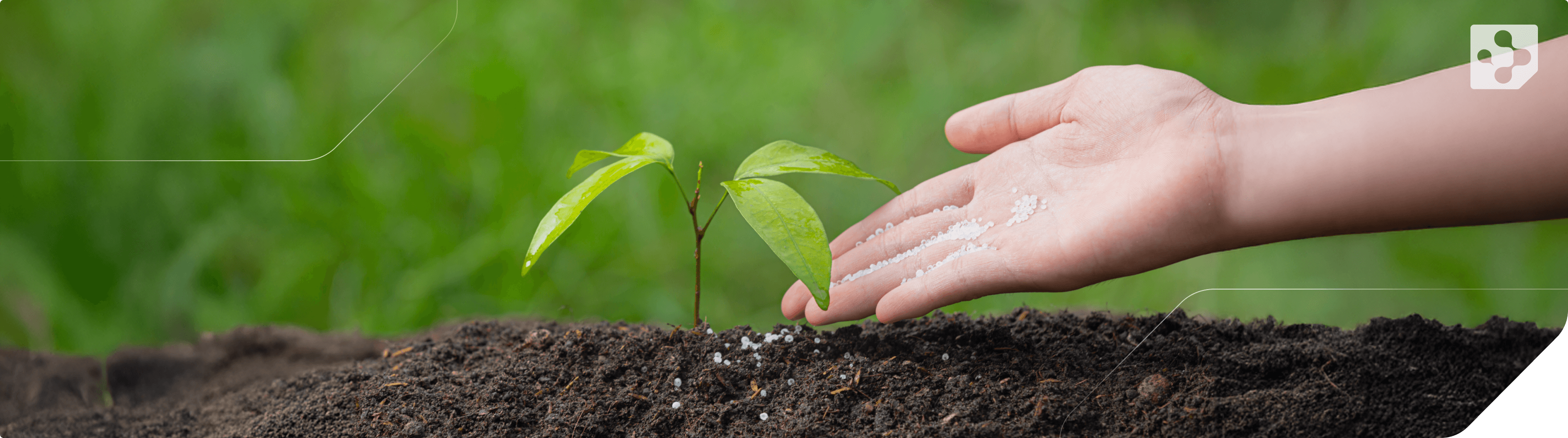 Biuret in Urea | Sample Control