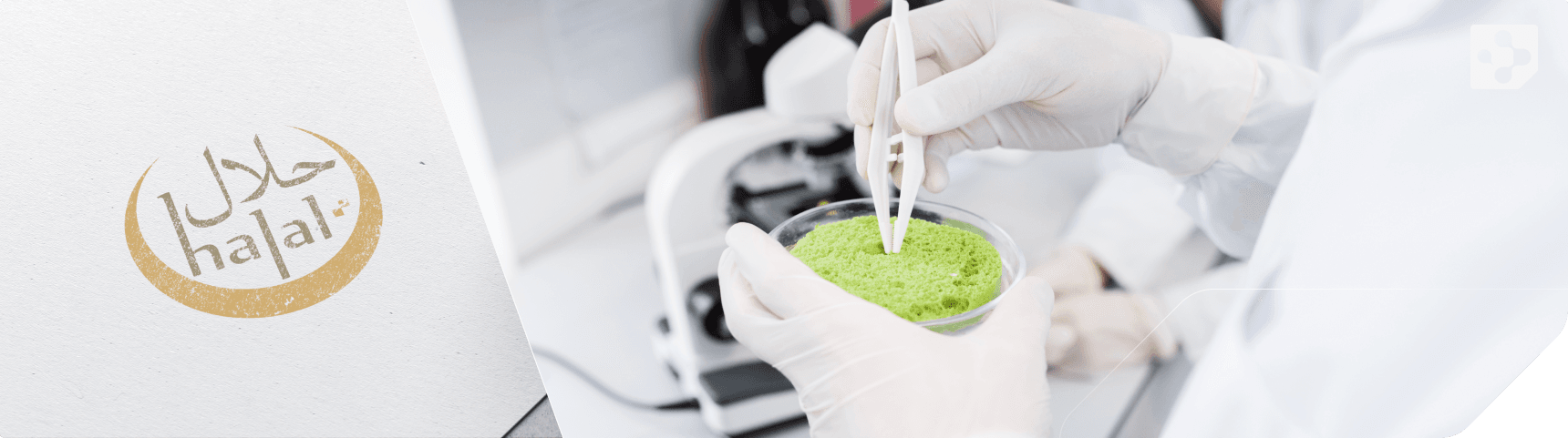 Halal Control in the Food Industry: The Key Role of Analytical ...